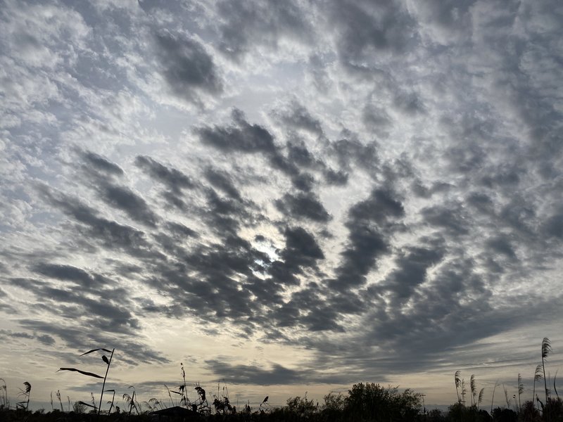 Страница 85 - Форум