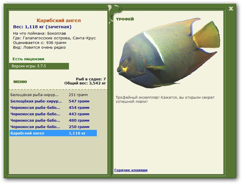 Учимся использовать BBcode в сообщениях