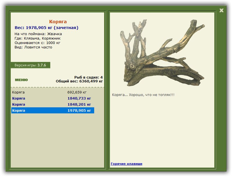 Учимся использовать BBcode в сообщениях