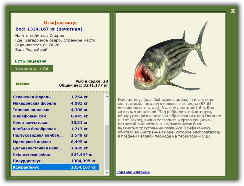 Учимся использовать BBcode в сообщениях