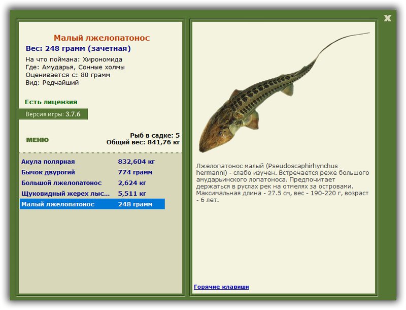 Учимся использовать BBcode в сообщениях