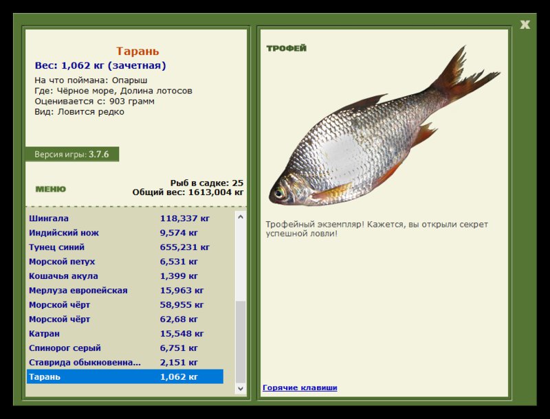 Учимся использовать BBcode в сообщениях