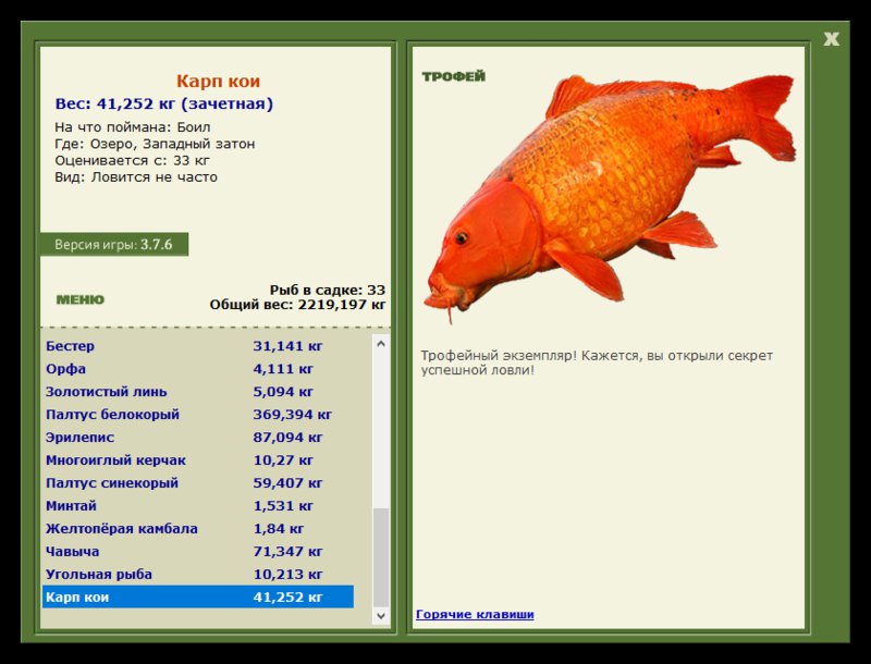 Учимся использовать BBcode в сообщениях