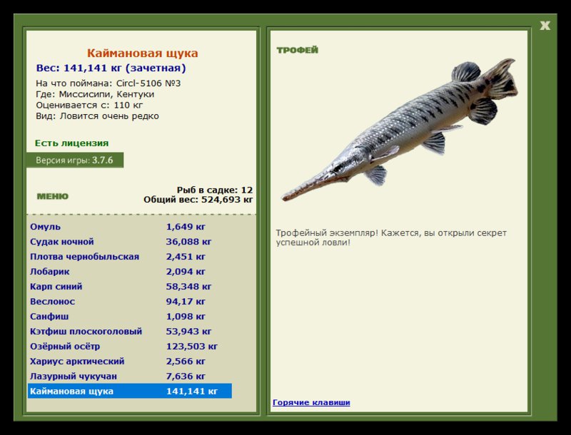 Учимся использовать BBcode в сообщениях